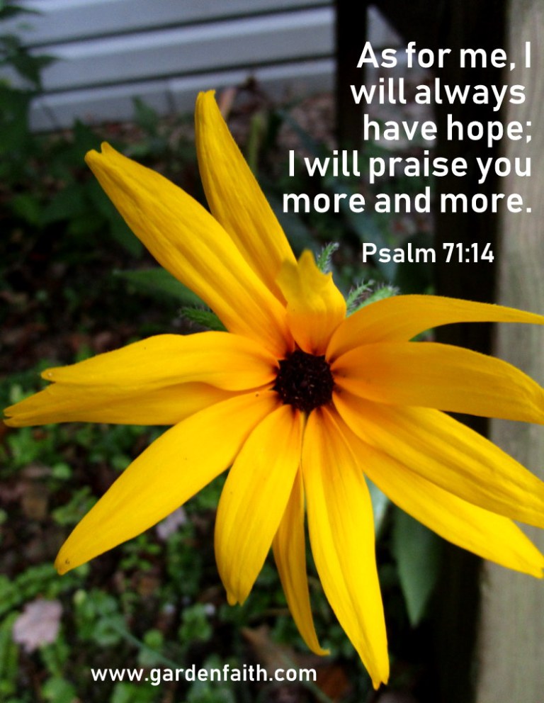 I Will Praise You – Psalm 71:14 – Garden Faith
