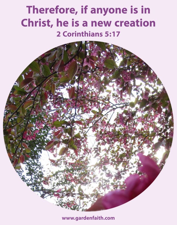 A New Creation: 2 Corinthians 5:17 – Garden Faith