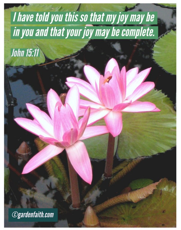 Joy in Christ – Garden Faith