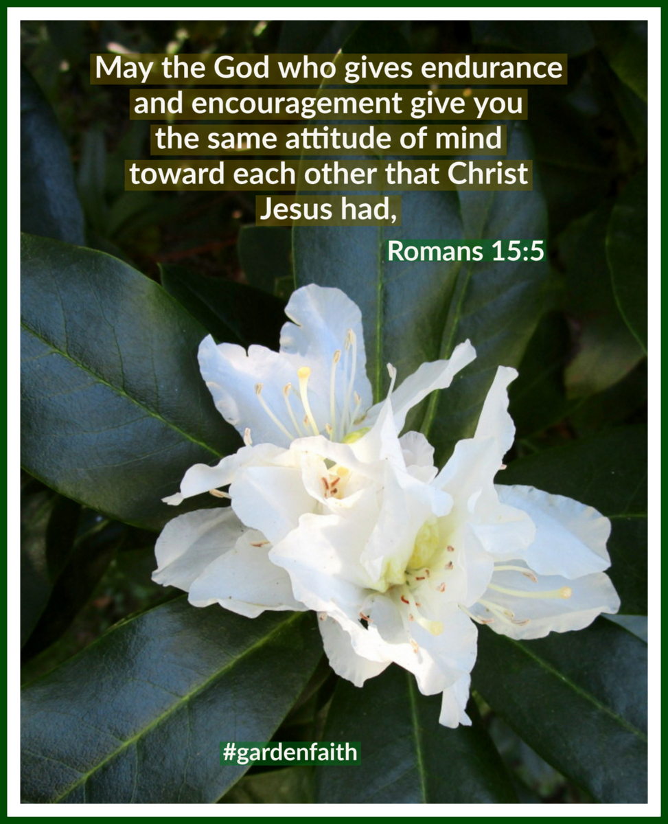 Commentary Romans 15 13