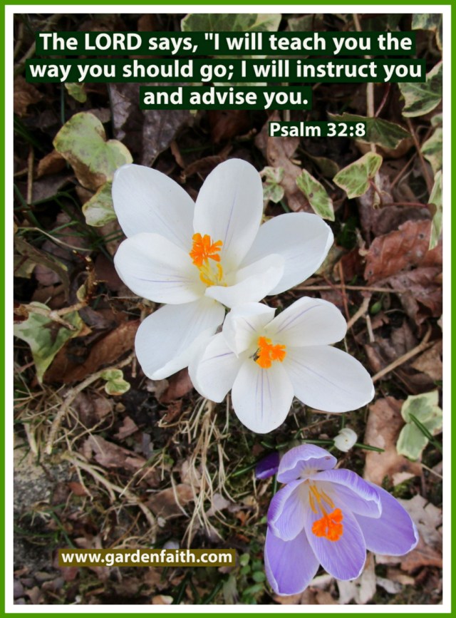 Psalm 328 With
