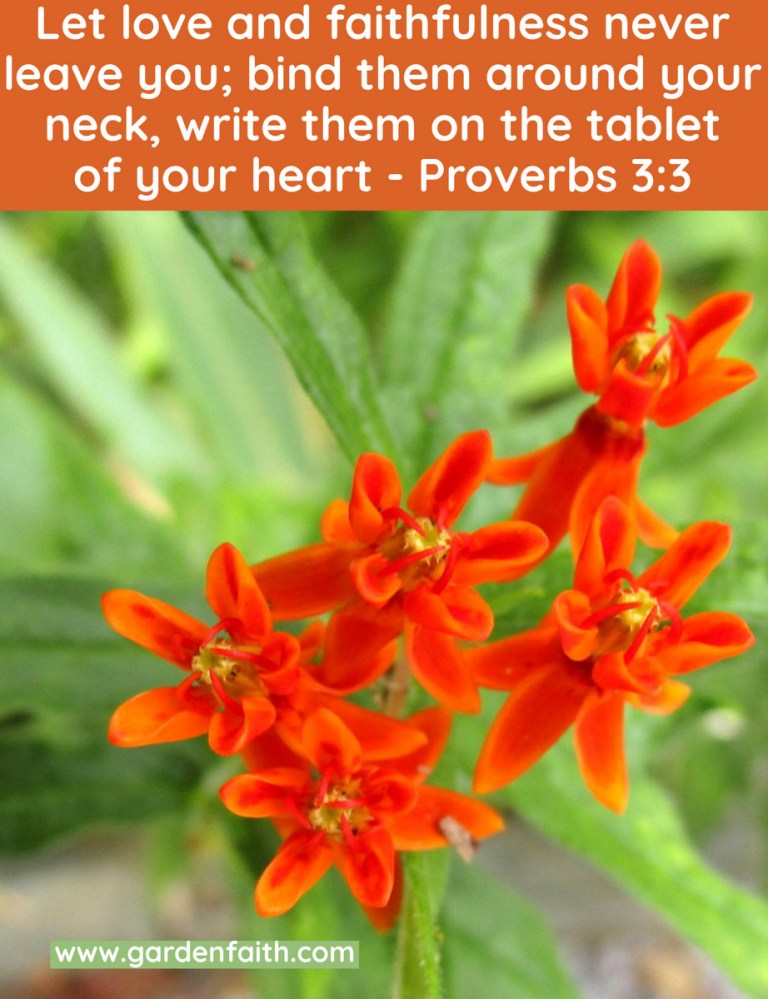 Love and Faithfulness: Proverbs 3:3-4 – Garden Faith