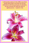 Greatly Rejoice: Isaiah 61:10 – Garden Faith