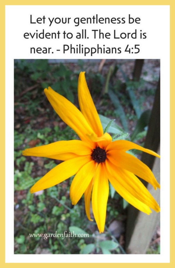 Gentle Spirit: Philippians 4:5 – Garden Faith