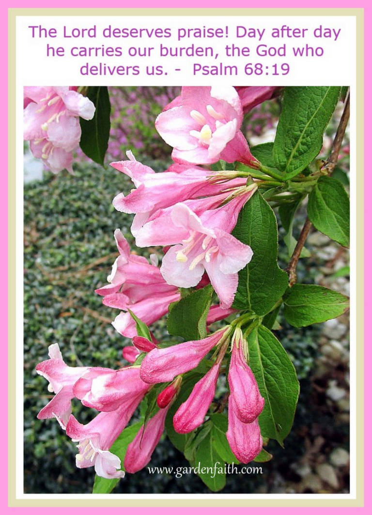 Our Deliverer: Psalm 68:19 – Garden Faith