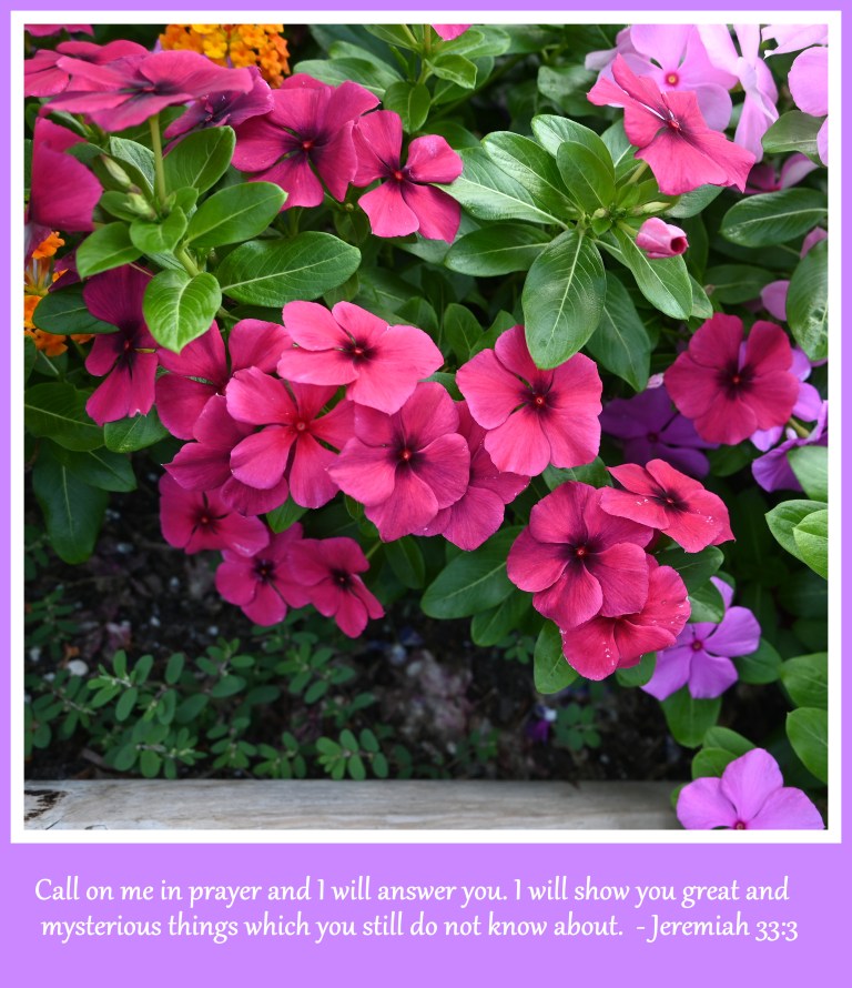 Call on Me – Jeremiah 33:3 – Garden Faith