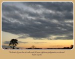 Truth – Psalm 119:160 – Garden Faith