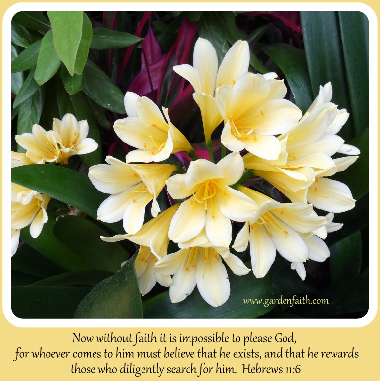To Please God – Hebrews 11:6 – Garden Faith
